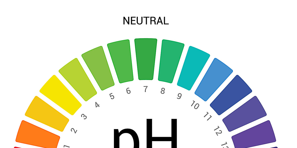 pH Regulator for Industrial Water - Neutralise Solutions with Ease – SPCB